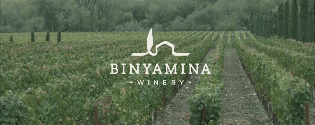 Binyamina Winery, Israel – Wines & Vines Cellars